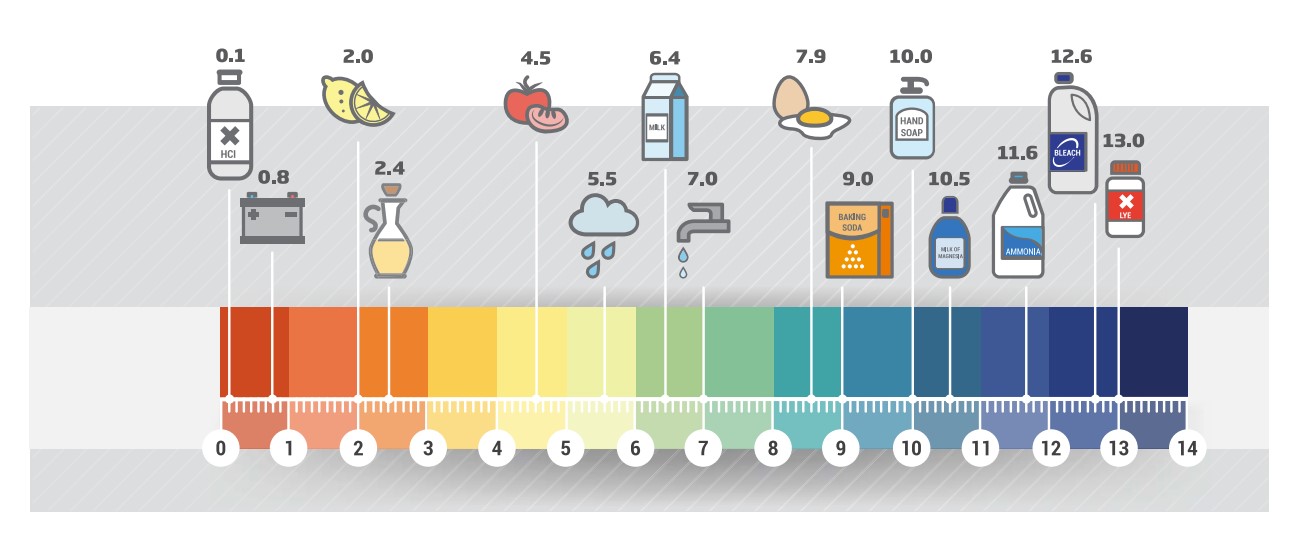 Introducción a los instrumentos de medición de pH y cómo elegir el adecuado para su aplicación ...
